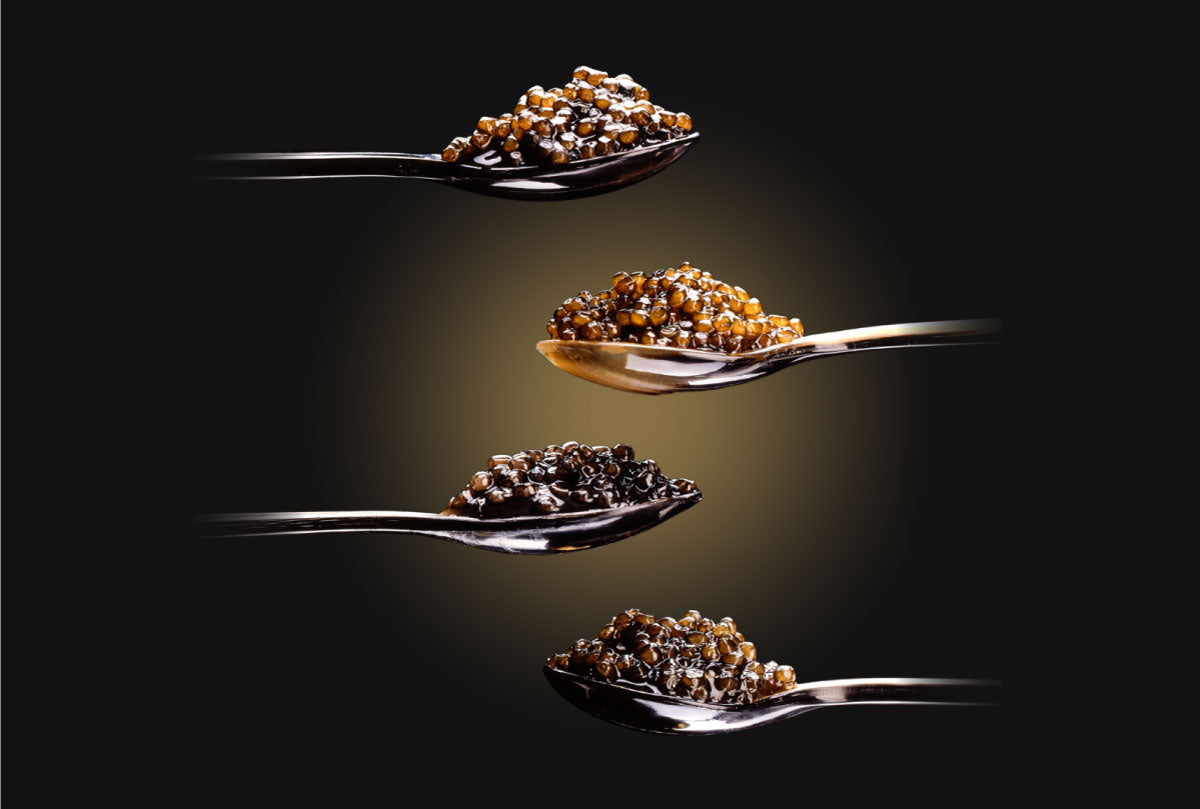 Bespoke Caviar | Luxury, Ethically Sourced Caviar at Exceptional Value ...